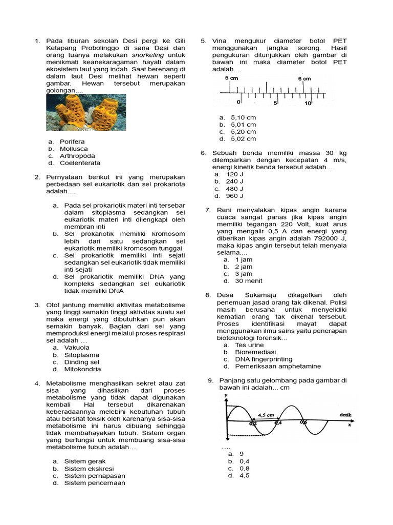 Soal Final Olim SMP | PDF
