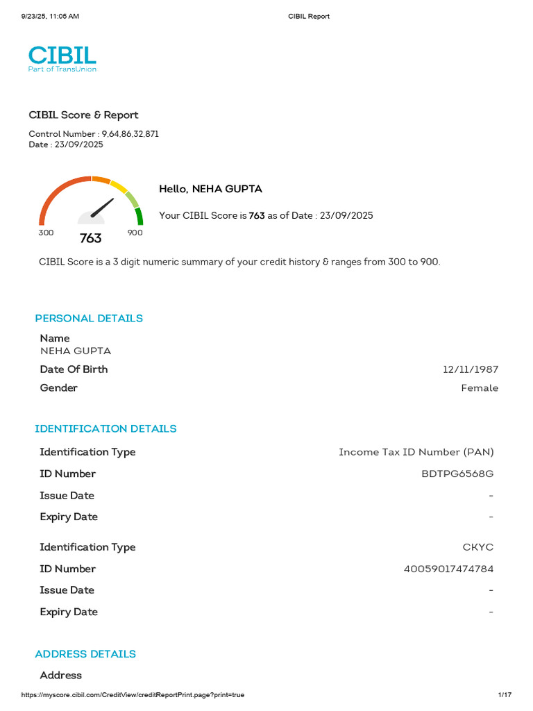 CIBIL Score Report for Neha Gupta | PDF | Credit | Finance & Money ...