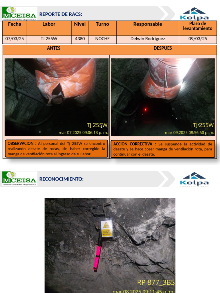 Formato - Reporte de RACS 2023 (Supervision) - 12.03.25 | PDF