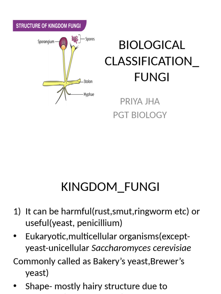 Biological Classification - Fungi - Priya Jha | PDF | Sexual ...