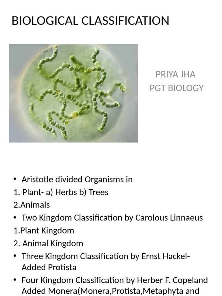 Overview of Biological Classification Systems | PDF | Bacteria | Biology