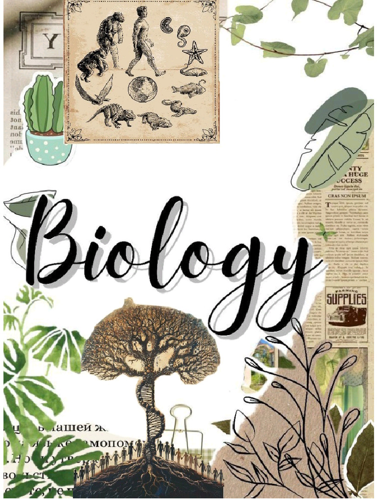 PDFGallery 20250923 173224 | PDF