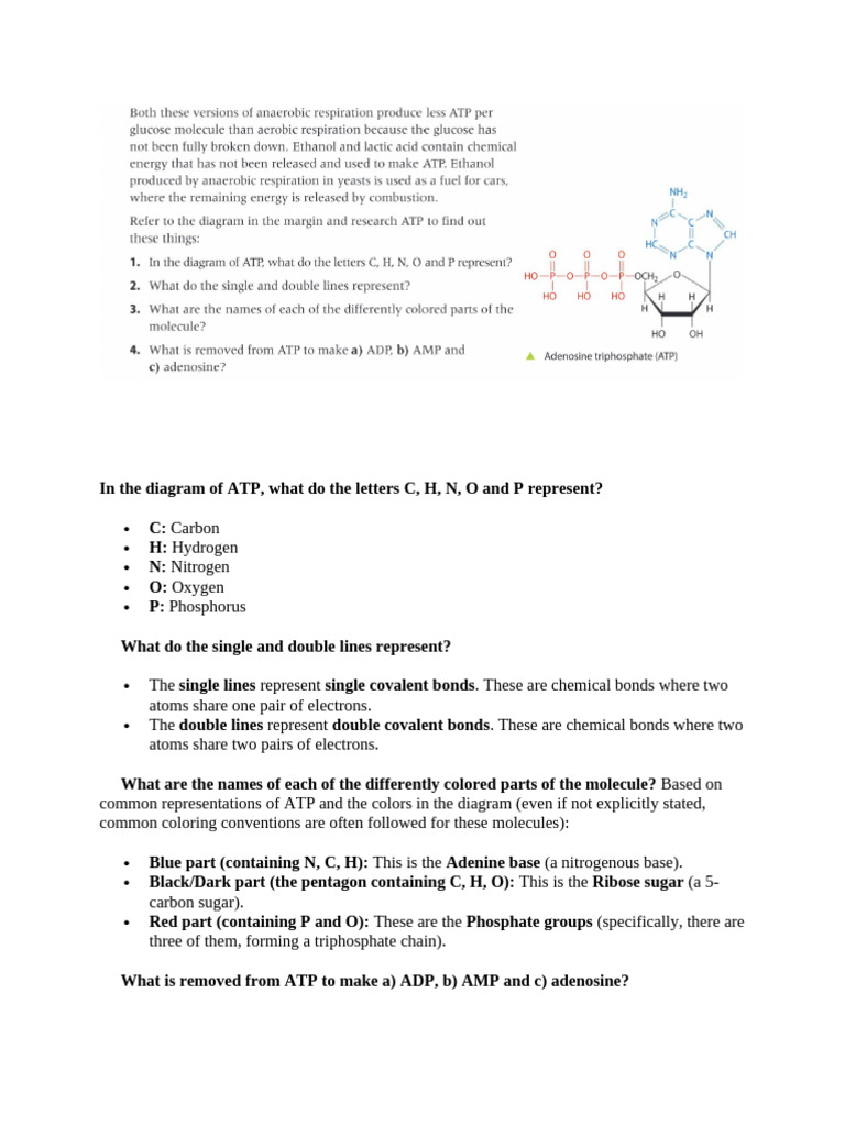 Diagram of ATP Qiuestions | PDF