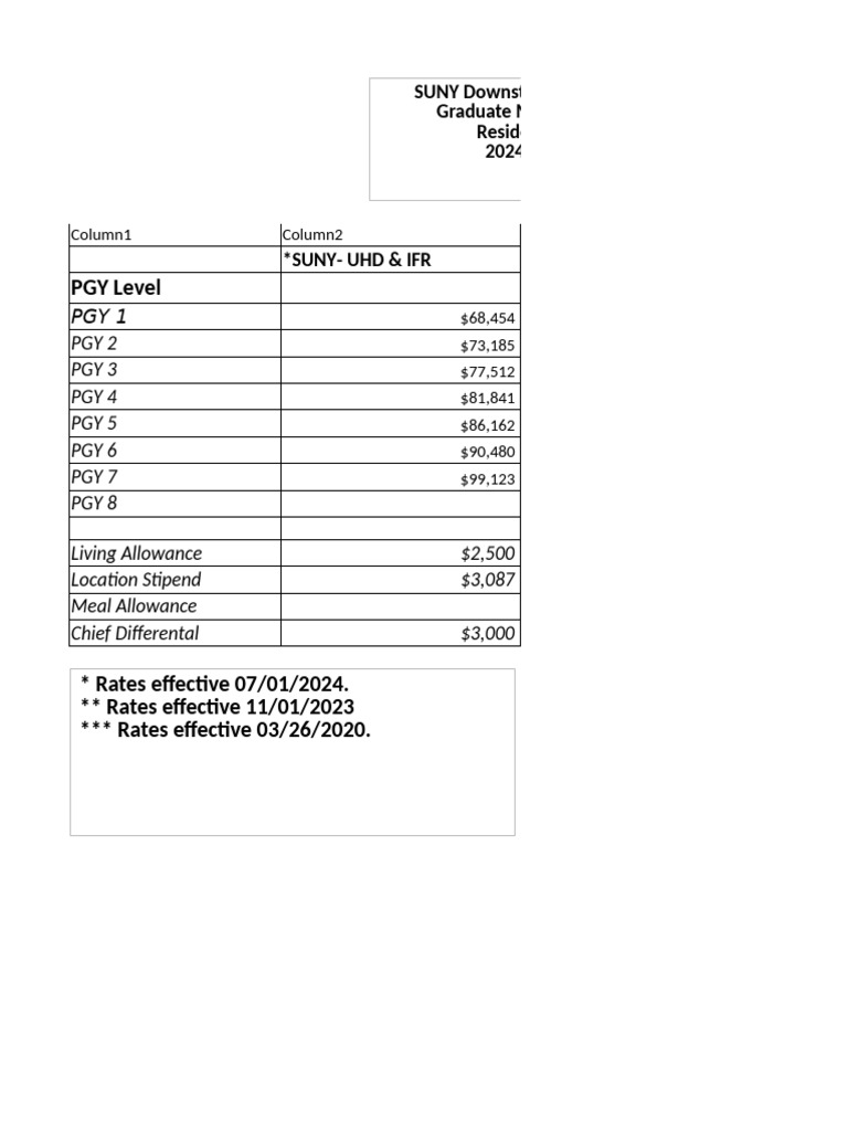 SUNY Downstate Resident Payscale 2024-2025 | PDF