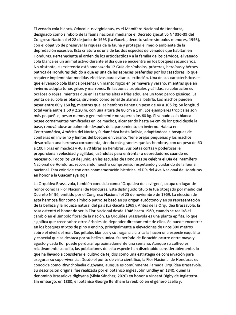 Venado Cola Blanca: Símbolo Nacional de Honduras | PDF | Venado de cola ...