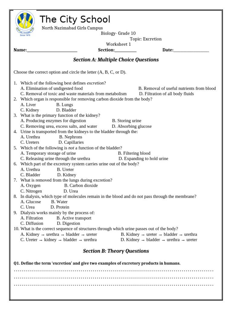 Biology Worksheet 1 Grade 10 Excretion | PDF | Excretion | Urine