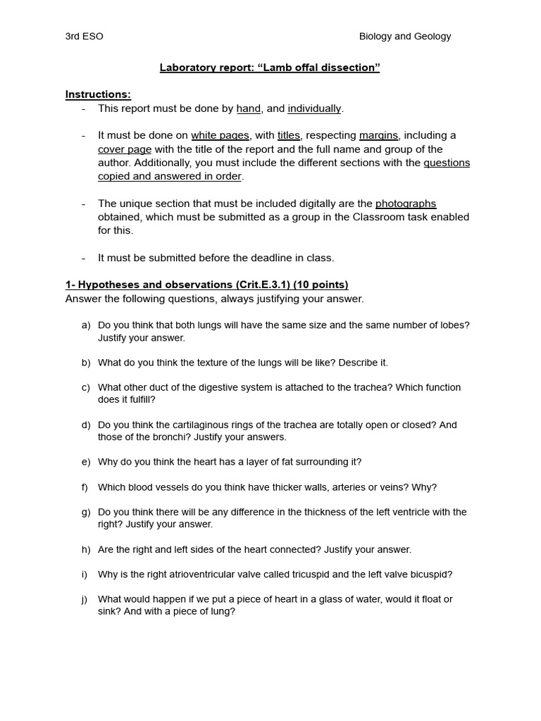 Lab Report - Lamb Lung Pluck Dissection | PDF | Heart Valve | Medical ...