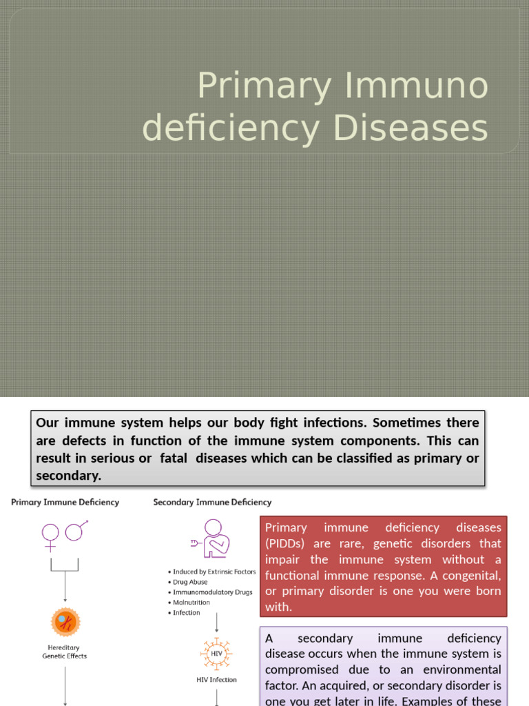 Primary Immunodeficiency Disease | PDF | Immunodeficiency | Immune System