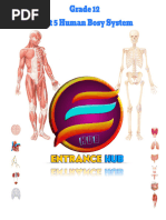 Human Body Coordination Systems | PDF | Synapse | Chemical Synapse