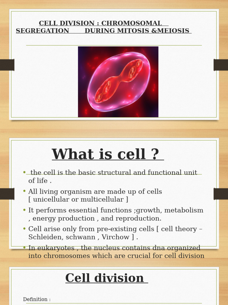 Cell Division Paper - 2 Final Presentation | PDF | Meiosis | Mitosis