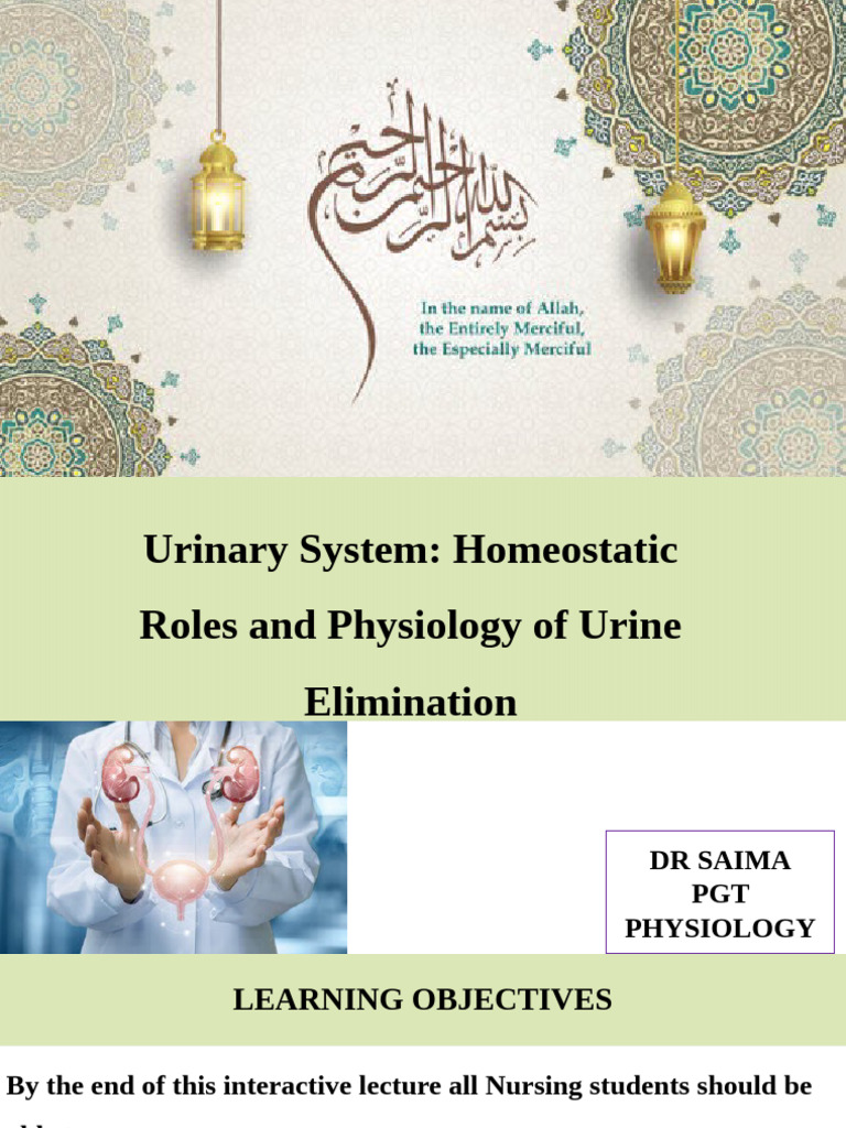 Urinary System: Nursing Care Essentials | PDF | Urinary Incontinence ...