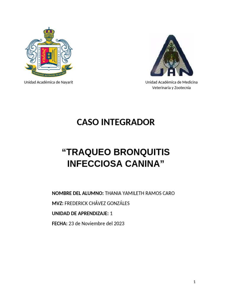 Traqueobronquitis Infecciosa Canina: Causas y Tratamiento | PDF ...