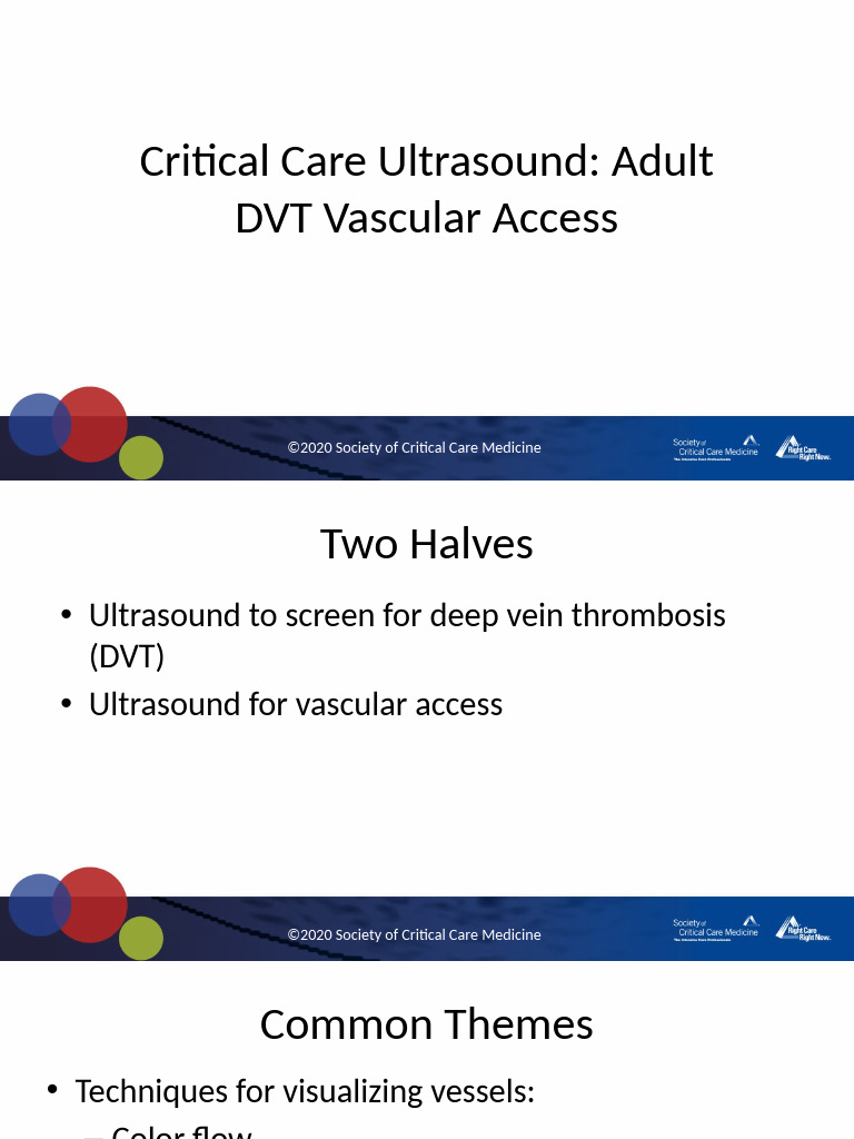 Critical Care Ultrasound for DVT & Access | PDF | Medical Ultrasound | Vein