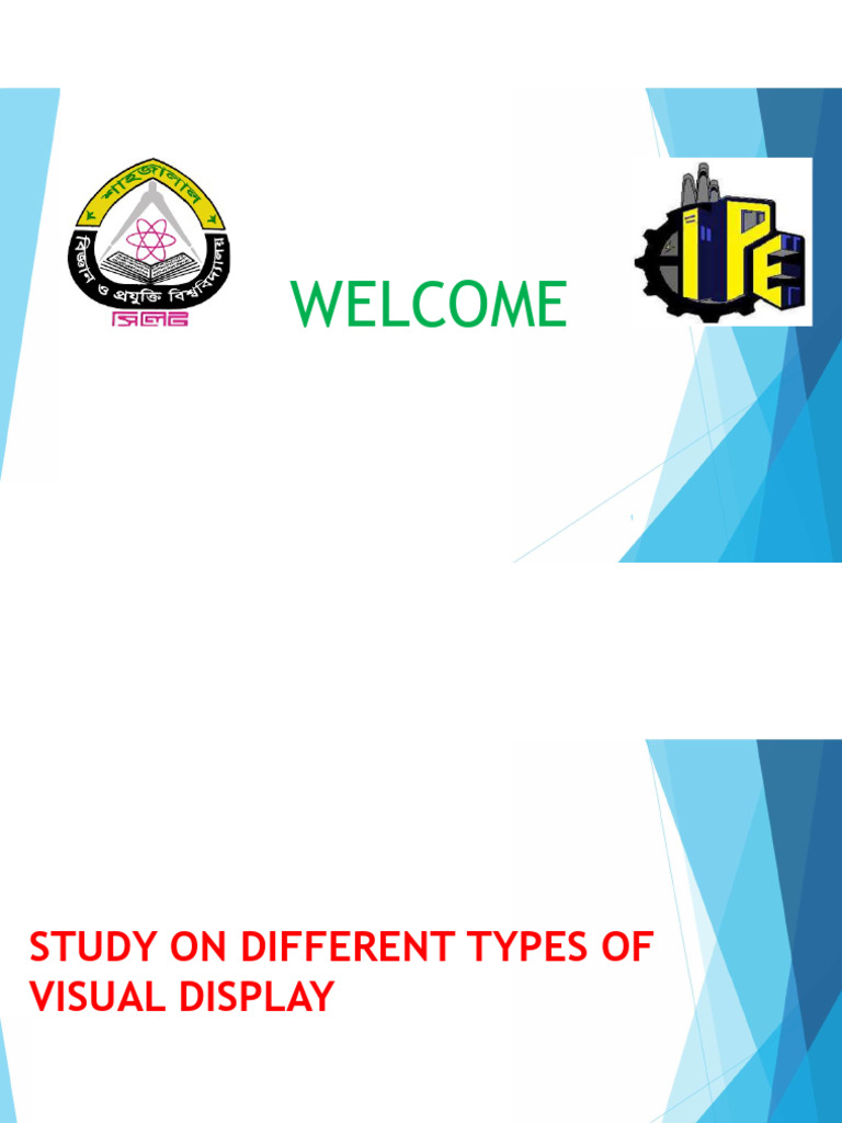 VISUAL DISPLAY | PDF | Cognition | Cognitive Science