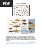 Calendario REPASE 2025-2026 | PDF