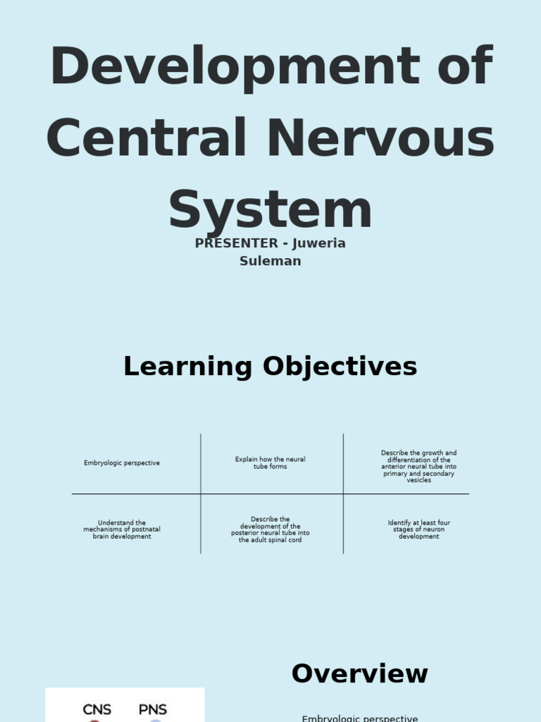 Central Nervous System Development Guide | PDF