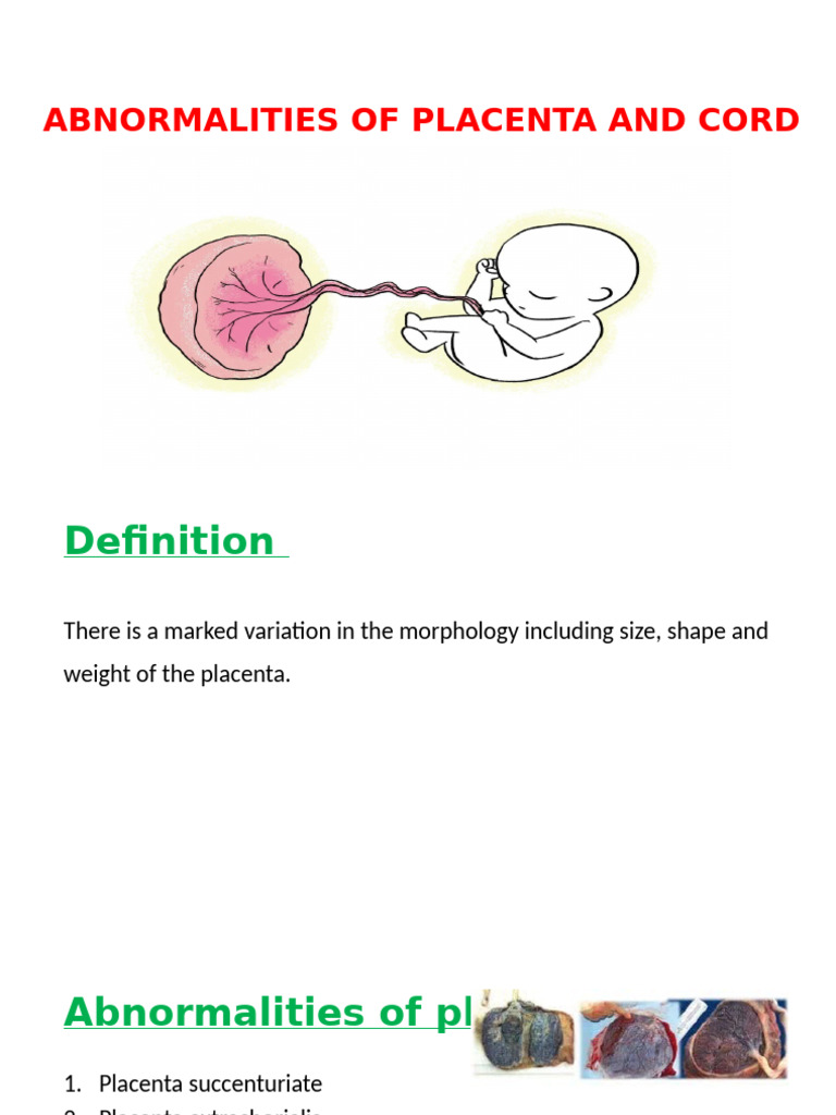 Abnormalities of Placenta and Cord | PDF | Placenta | Human Pregnancy