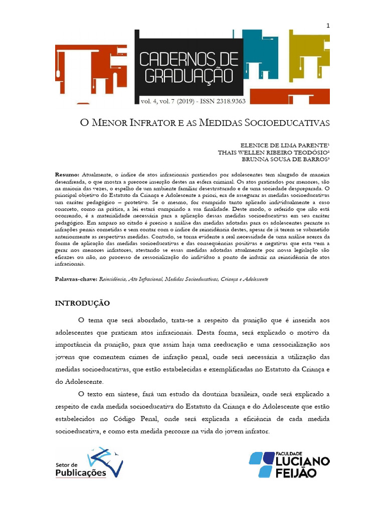 O Menor Infrator e As Medidas Socioeducativas | PDF | Adolescência ...