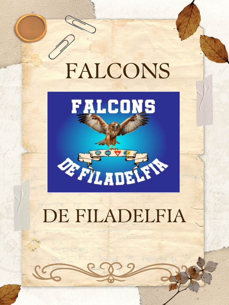 Informe Falcons | PDF