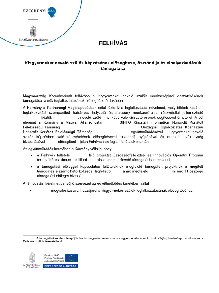 GINOP-5 3 13-20 - Felhivas | PDF