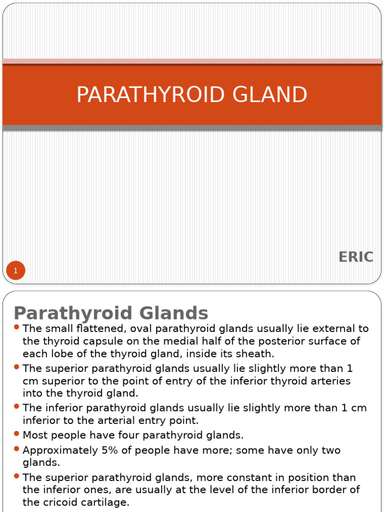 Anatomy and Function of Parathyroid Glands | PDF