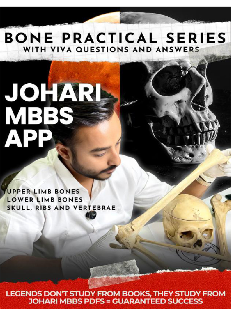 Ribs Viva Anatomy - Johari Mbbs | PDF