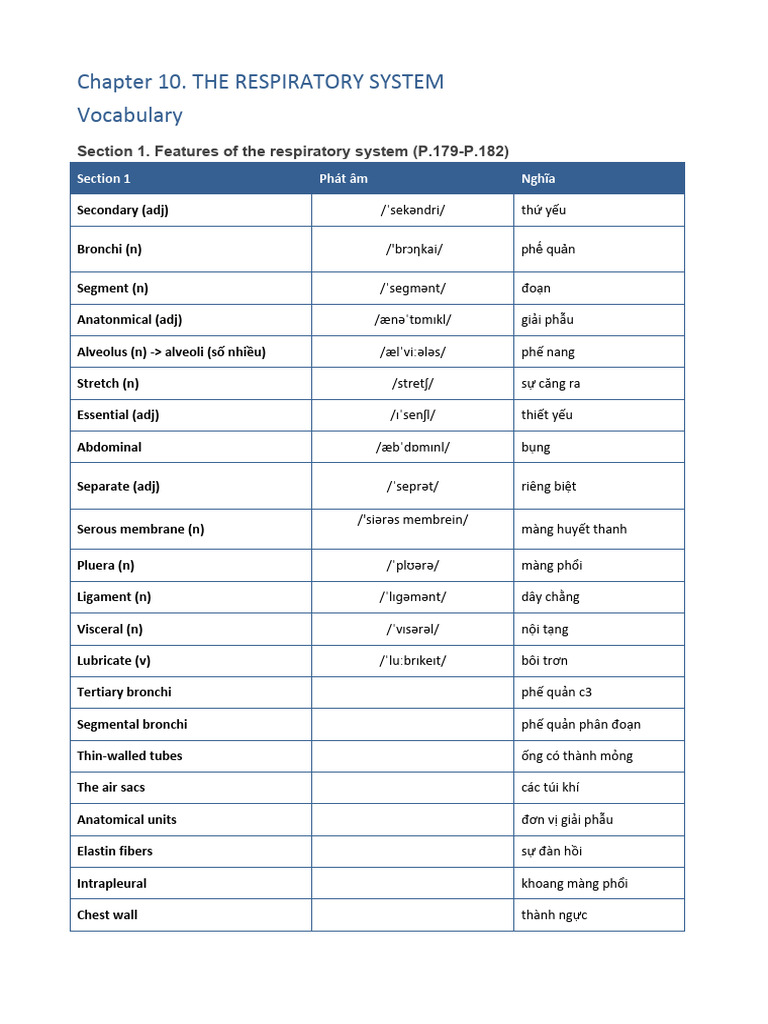 Respiratory System | PDF