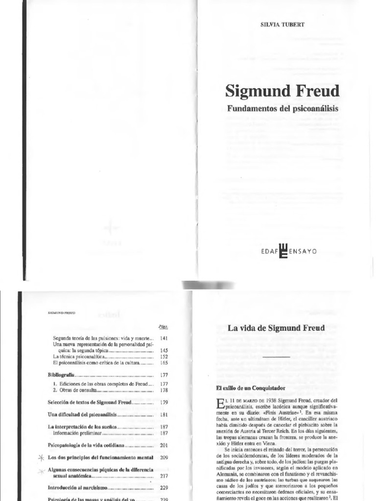 1.sigmund Freud Fundamentos Del Psicoanálisis Silvia Tubert | PDF