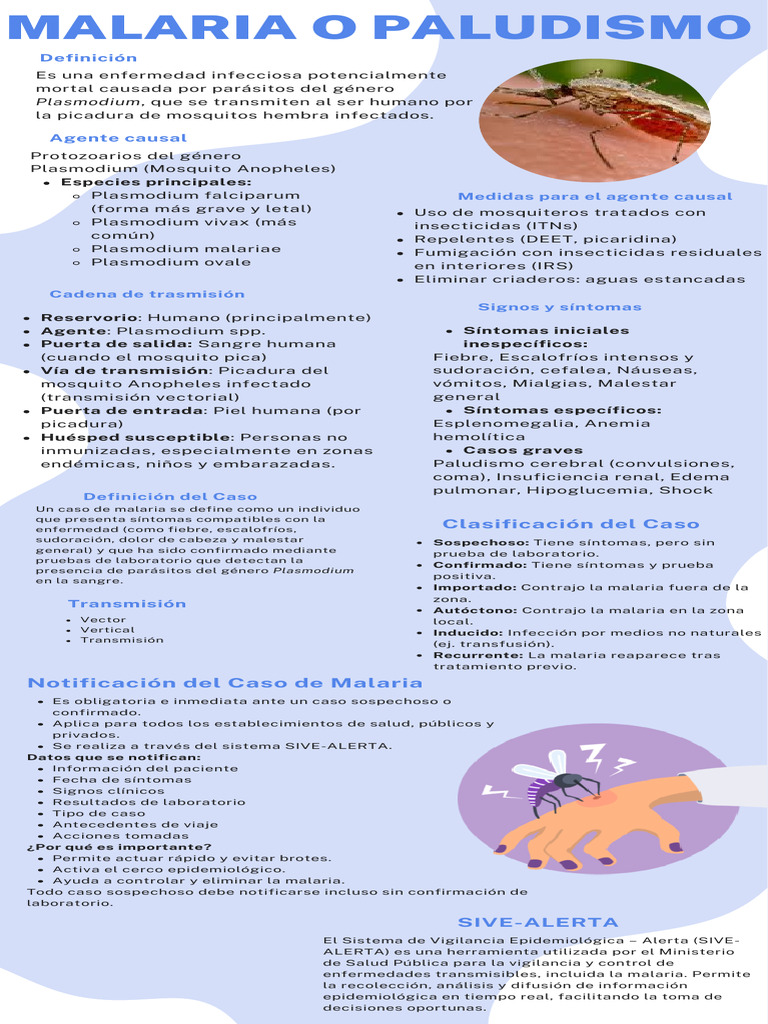 Guía Completa sobre Malaria y su Notificación | PDF | Malaria | Plasmodium