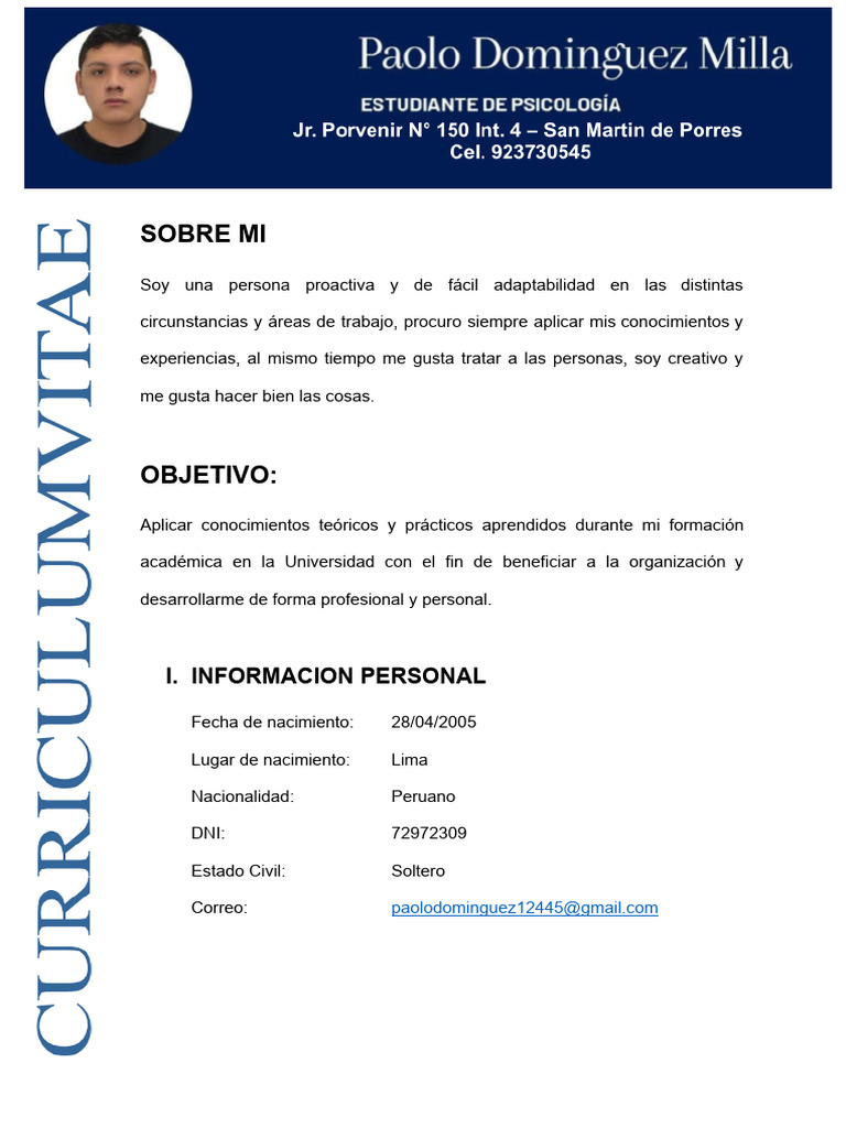 Curriculum Vitae Paolo Dominguez Milla | PDF