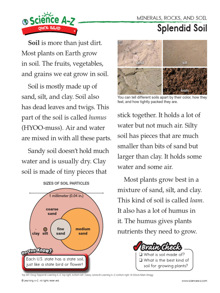 Minerals Rocks Soil 3-4 QR Splendid Soil - Low | PDF | Soil | Sand