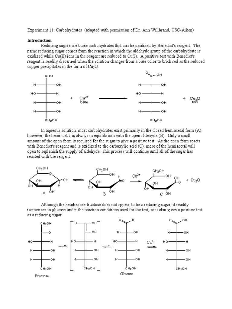 1152 Lab Carbohydrates | PDF | Carbohydrates | Glucose