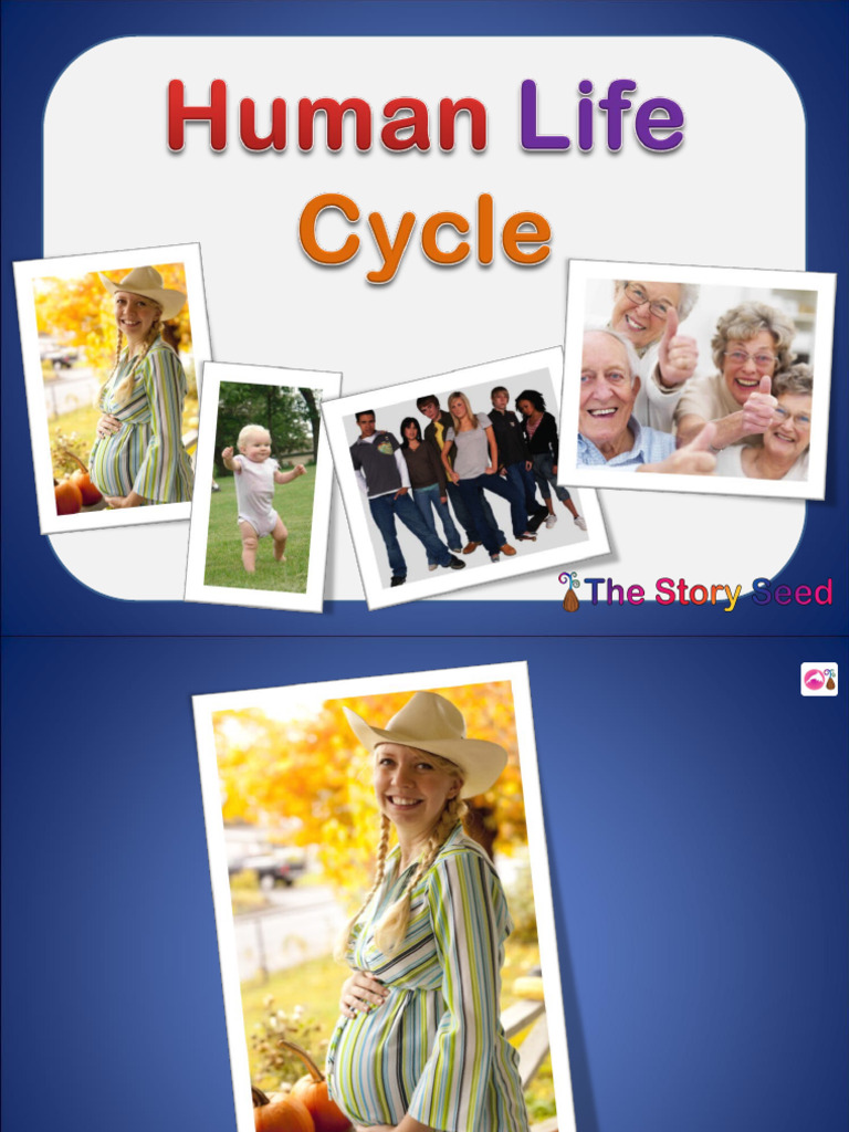 Human Life Cycle | PDF