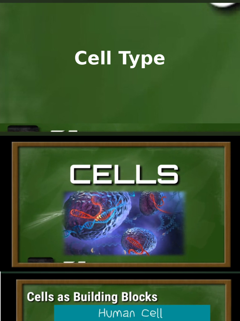 Prokaryotic vs Eukaryotic Cells Venn Diagram | PDF