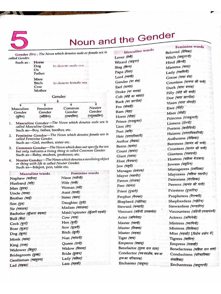 Noun & Gender | PDF