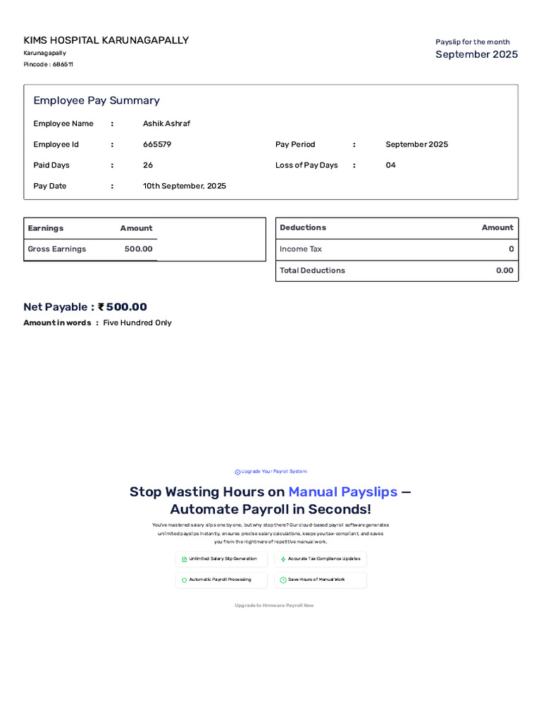 Free Payslip Generator Online - Create Custom Payslips | PDF