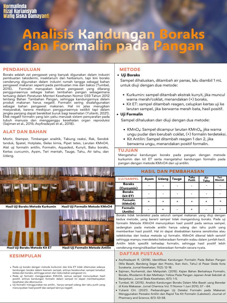 Uji Boraks dan Formalin pada Pangan | PDF