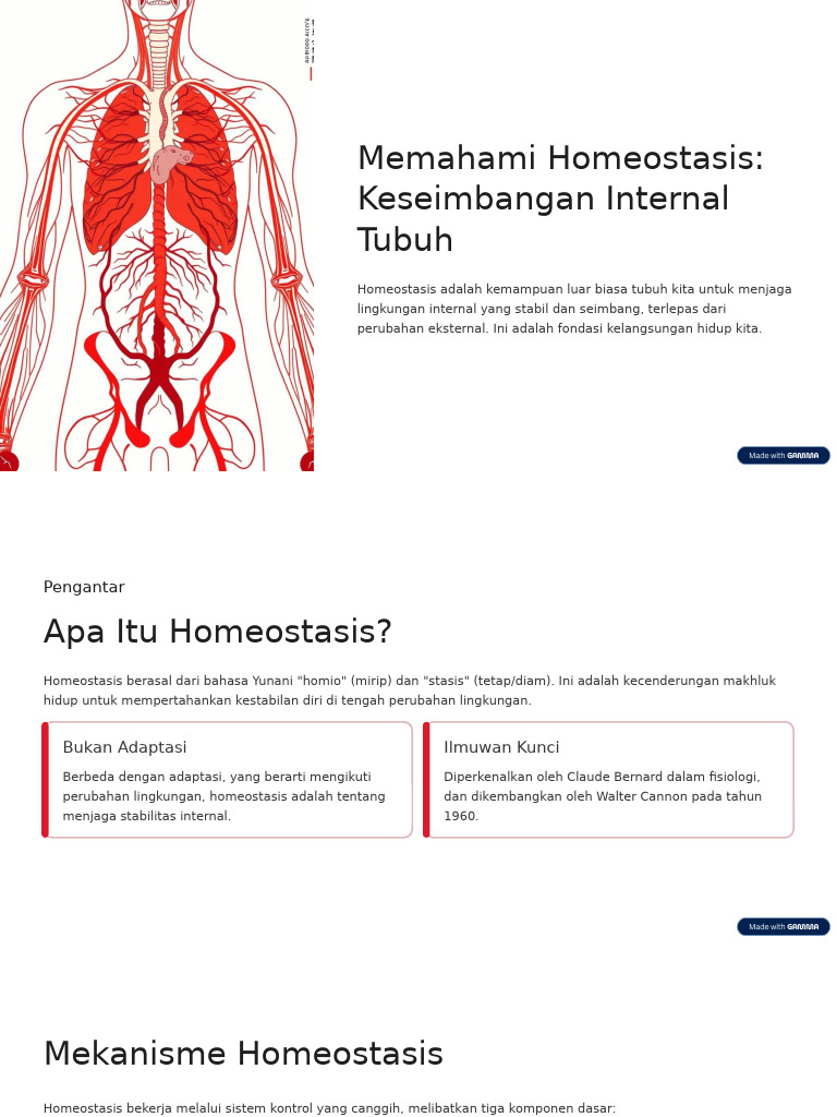 Memahami Homeostasis Keseimbangan Internal Tubuh | PDF