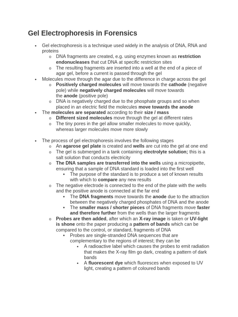 Gel Electrophoresis in Forensics | PDF | Gel Electrophoresis | Biochemistry