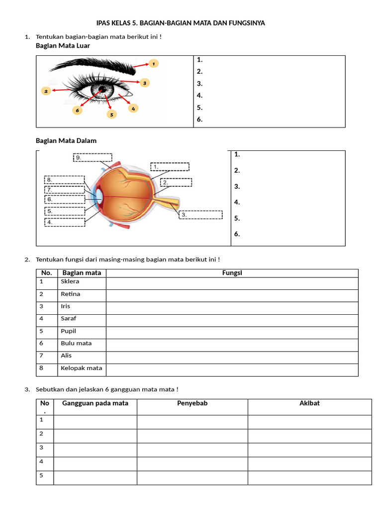 Ipas Kelas 5 Mata | PDF