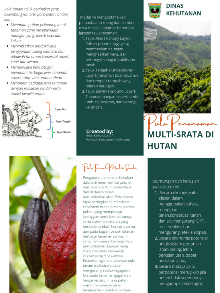Pola Tanam Multi-Strata di Hutan | PDF