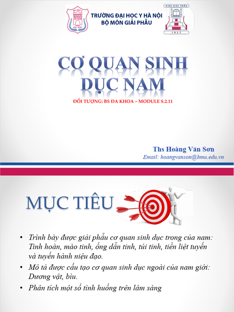 LEC15 (Slide) Co Quan Sinh Duc Nam | PDF