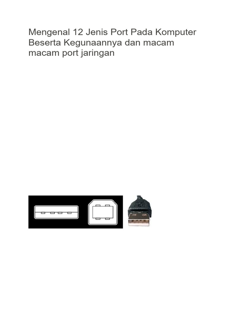 Jenis-Jenis Port Komputer dan Fungsinya | PDF