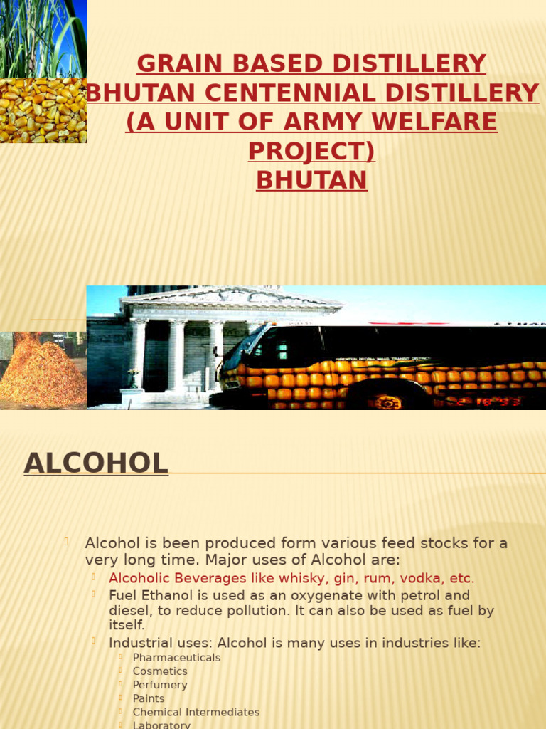 Grain-Based Alcohol Production Process | PDF | Starch | Ethanol