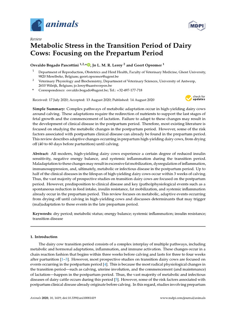 Animals Estres Metabolico | PDF | Adipose Tissue | Insulin Resistance
