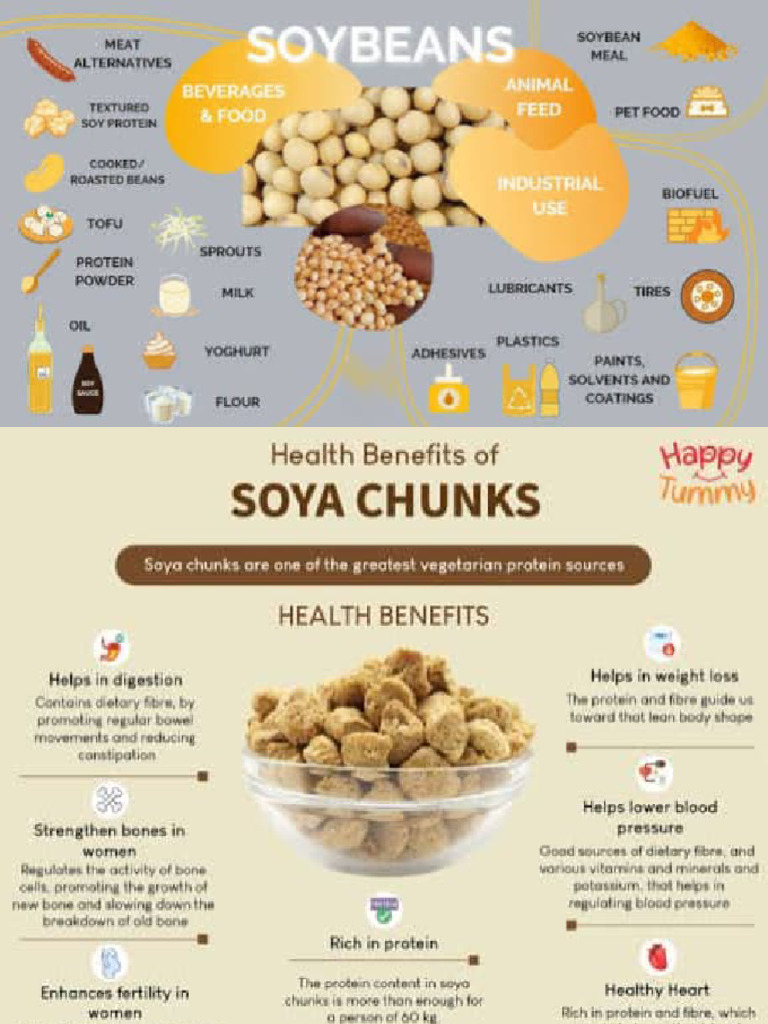 Health Benefits and Uses of Soy Products | PDF | Soybean | Tofu