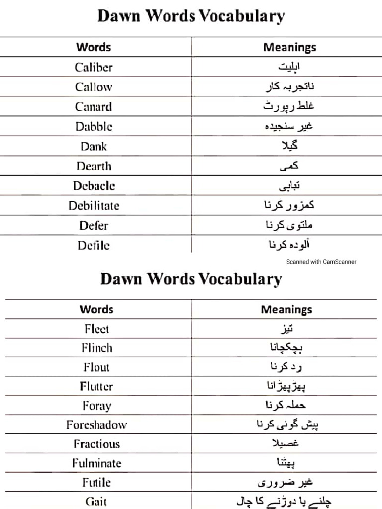 Dawn Words Vocabulary | PDF