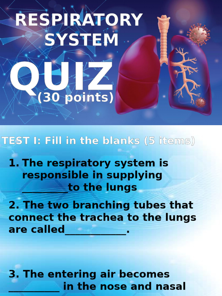 Respiratory System Quiz and Answer Key | PDF | Respiratory Tract ...
