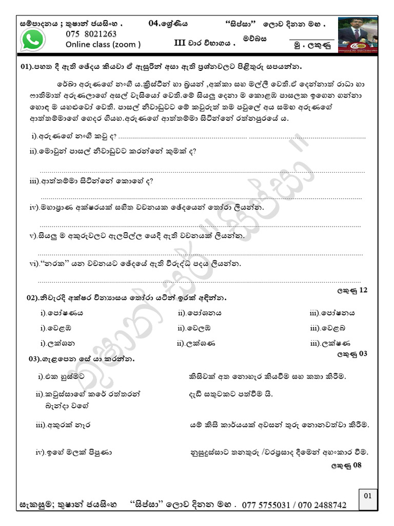 Online Class (Zoom) | PDF