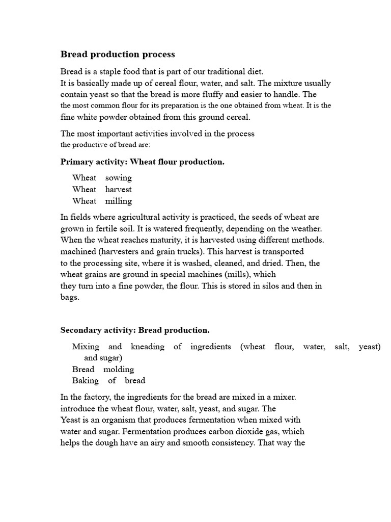 Bread Production Process Explained | PDF | Breads | Flour